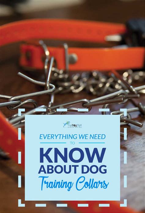 Image result for How to Use Training Collars