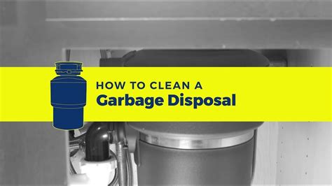 Image result for Garbage Disposal Clean Out