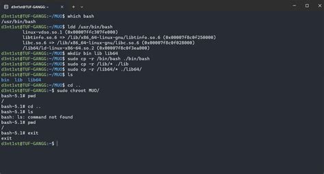 Image result for Adb Shell Chroot
