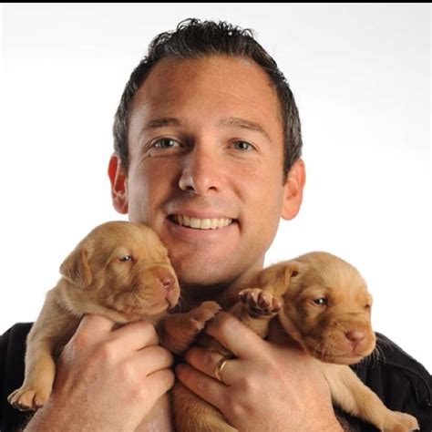 Image result for Fox Red Lab Pups