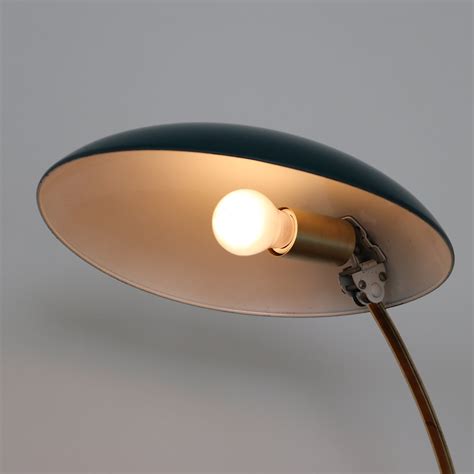 Image result for Translucenttb Lamp Filmp