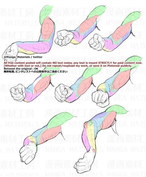 Image result for Arm Drawing Tutorial