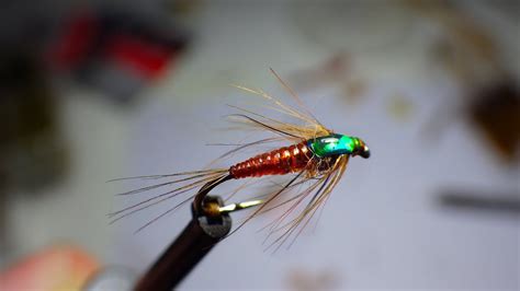 Image result for Mayfly Nymph Fly Patterns