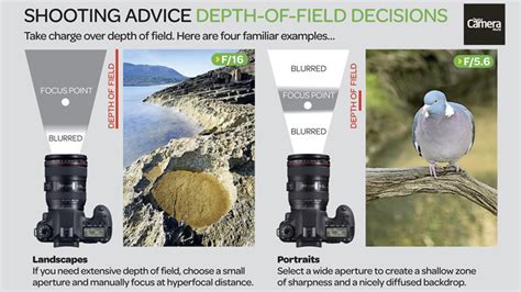 Image result for Depth of Field Photography Examples