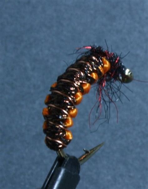 Image result for Polish Nymph Patterns