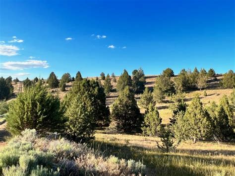 Image result for Modoc CA