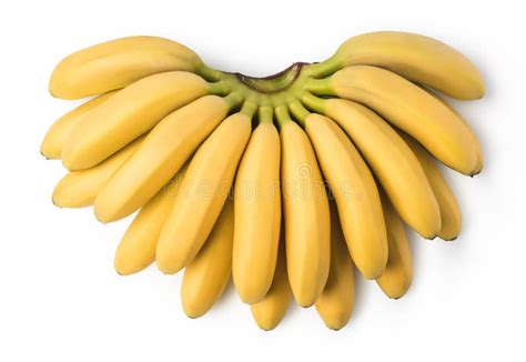 Image result for Java Banaan