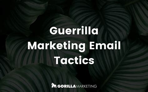 Image result for Guerrilla Mail Features
