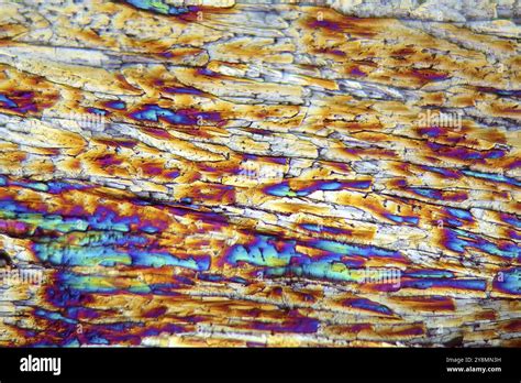 Image result for Copper Under Microscope