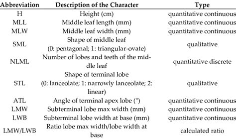 Image result for Morphological Characteristics Examples