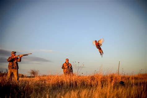 Image result for Prairie Dog Hunting Tips