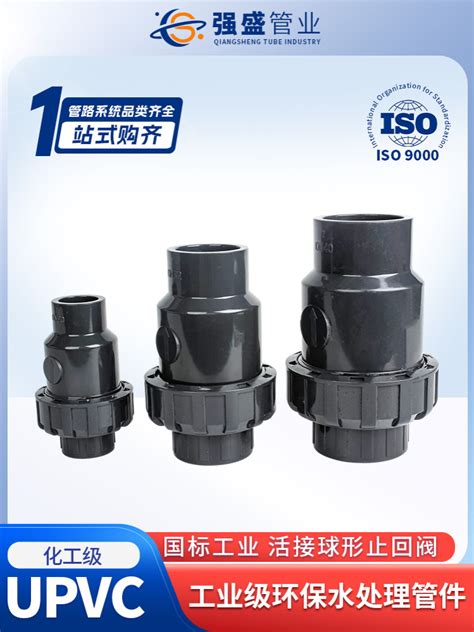 Image result for PVC Ball Check Valve