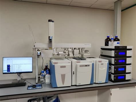 Image result for Programming with Mosh HTML Workflow