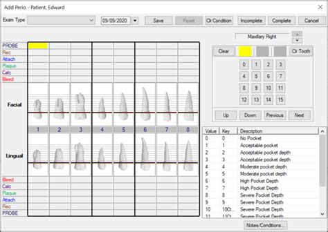 Image result for Axium Perio Chart