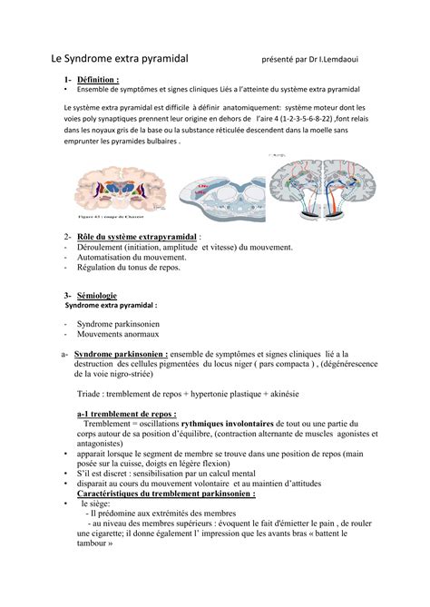 Image result for Le Systeme Extrapyramidal