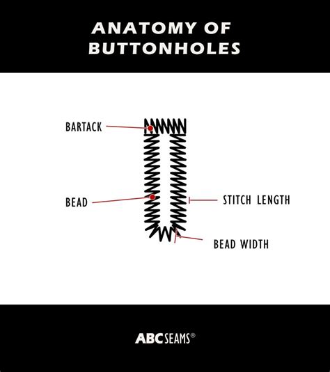 Image result for Buttonhole Invagination