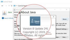 Image result for Java 8 Update 261