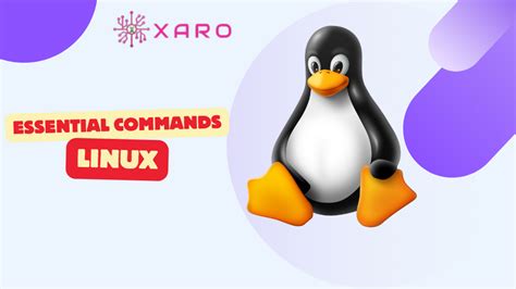 Image result for Essential Linux Commands