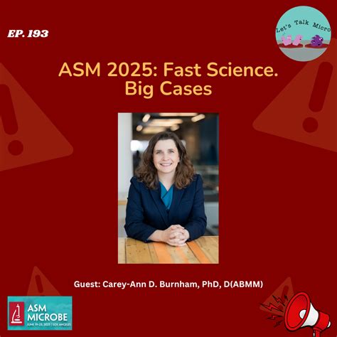 Image result for ASM Fast