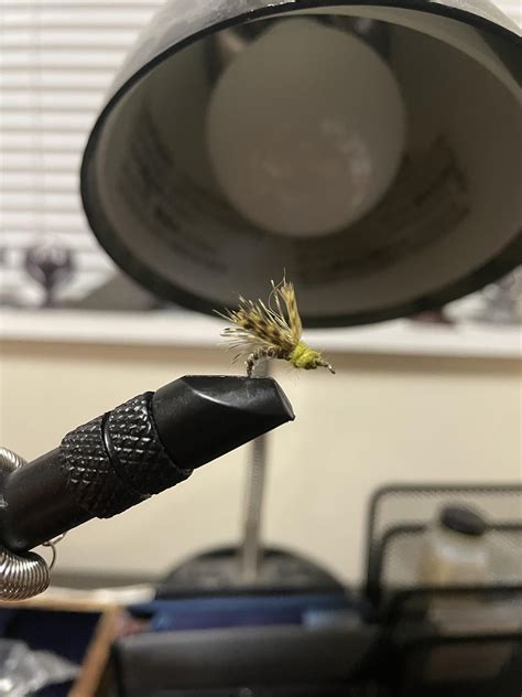 Image result for Caddies Emerger Fly Pattern