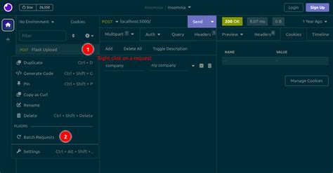 Image result for Insomnia Pre-Request Script