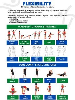 Image result for Dynamic Stretching Chart