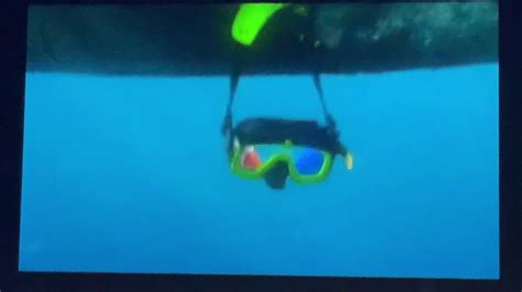 Image result for Diving Mask Finding Nemo