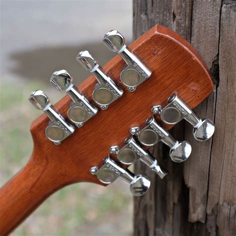 Image result for Nylon String Mandolin