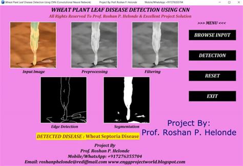 Image result for Plant Leaf Disease Detection Using CNN Source Code