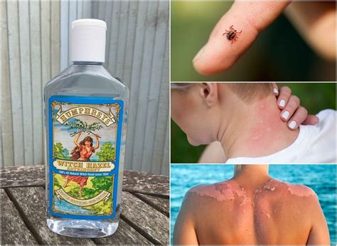 Image result for Exploding Witch Hazel