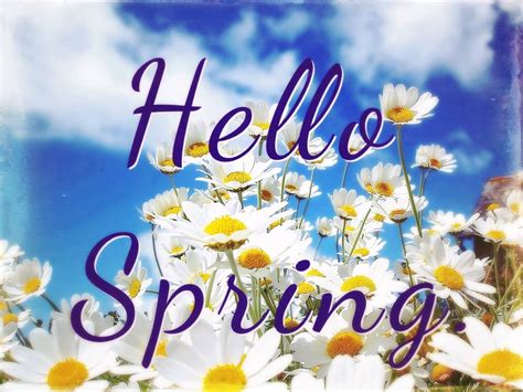 Image result for Hello Spring Story