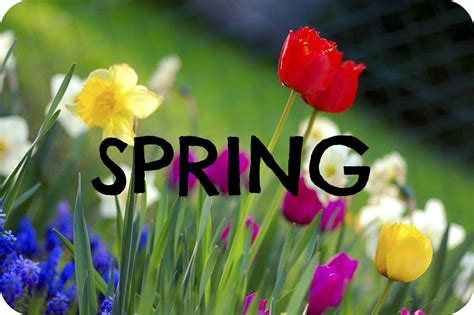 Image result for Springing