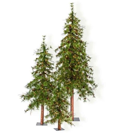 Image result for Alpine Christmas Tree