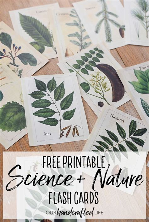 Image result for Science Flash Cards Printable