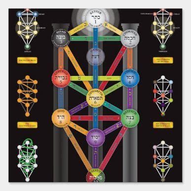 Image result for Zohan Life Tree