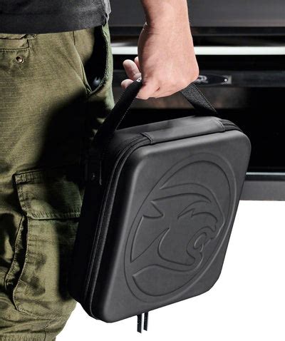 Image result for Expensive Pool Case