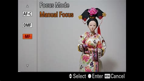 Image result for Sony A7r3 Focus Tutorial