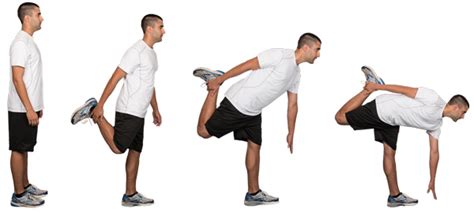 Image result for Dynamic Core Stretch