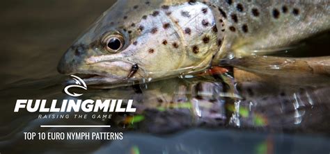 Image result for Spanish Nymph Patterns