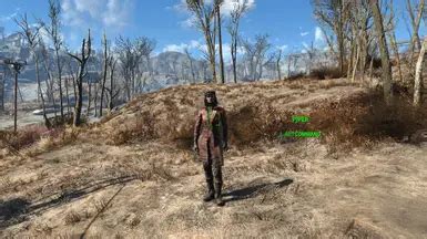 Image result for Fallout 4 Follower Mod