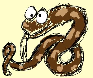 Image result for Silly Python