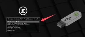 Image result for Create Linux Mint Bootable