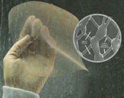 Image result for Labmesh