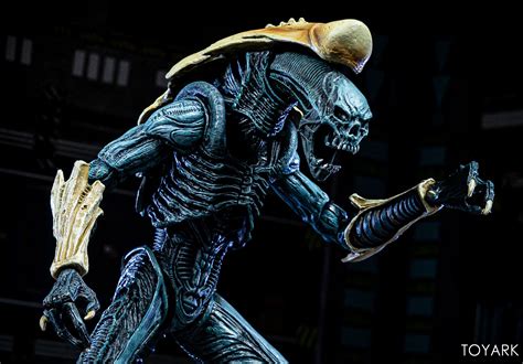 Image result for Alien vs Predator Linn