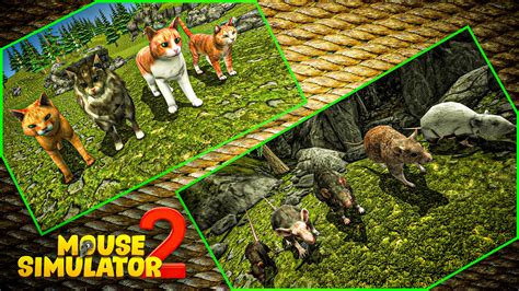 Image result for Mouse Simulator