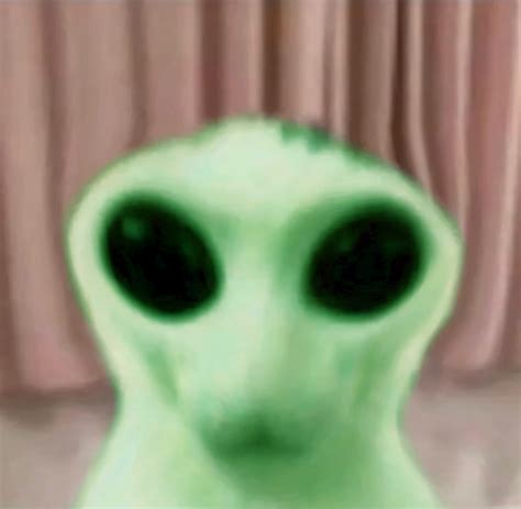 Image result for Alien Cat Meme Origin