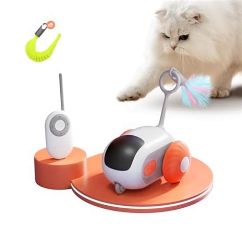 Image result for Remote Control Cat