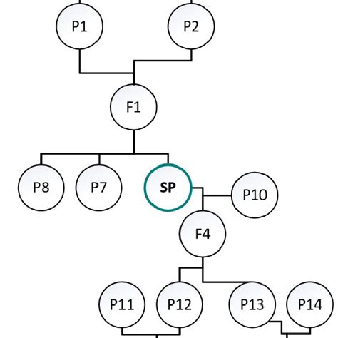 Image result for Linux OS Tree