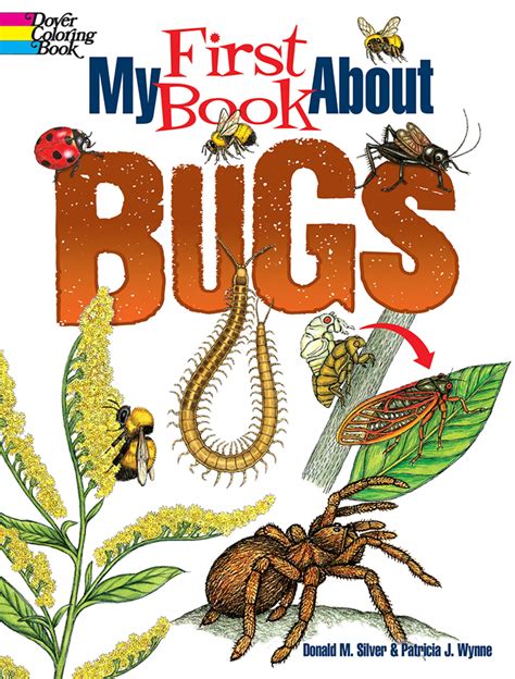 Image result for My First Insect Book