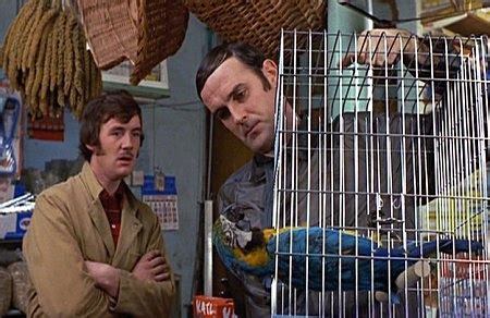 Image result for Monty Python Parrot